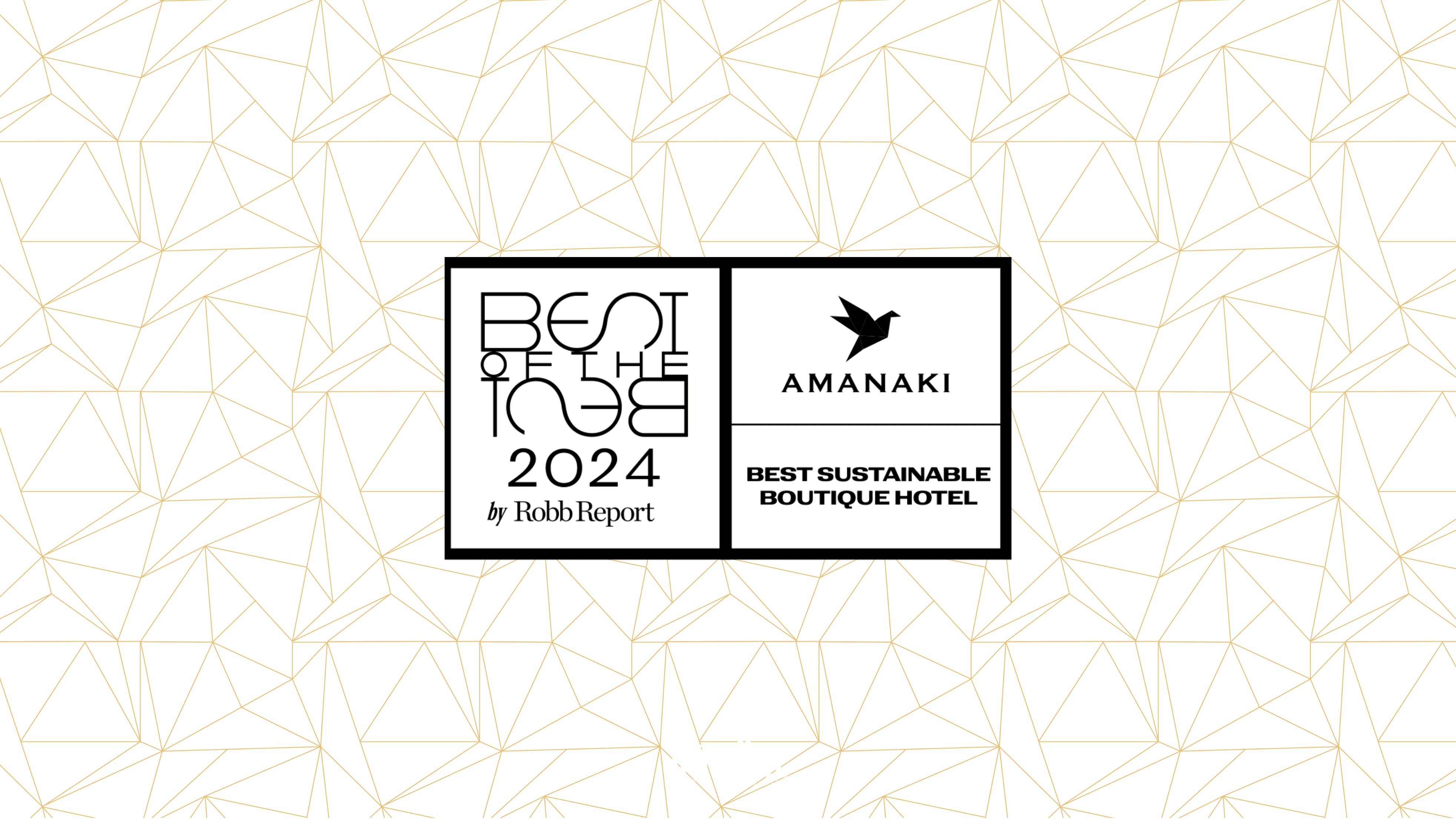 Robb Report Award – Inspiration for the Future